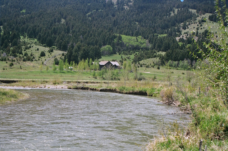 Restoration Examples