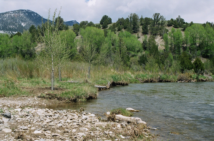 Restoration Examples