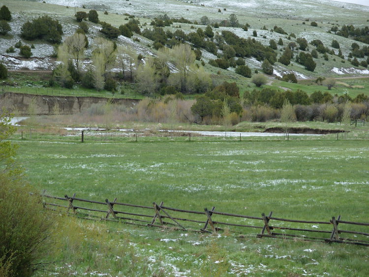 Restoration Examples