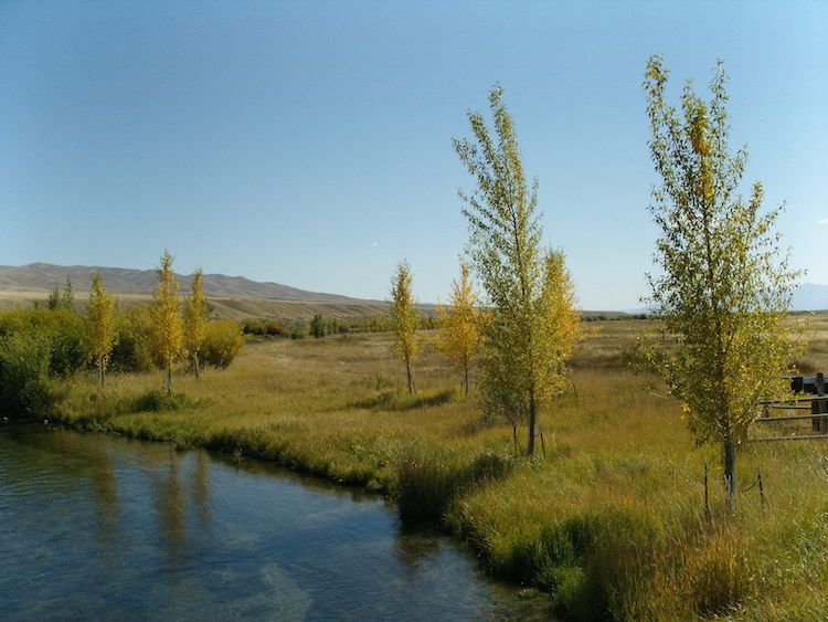 Restoration Examples