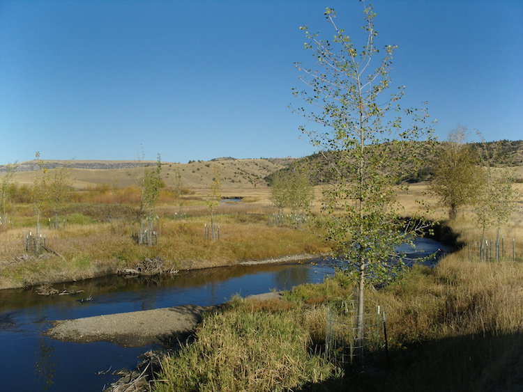 Restoration Examples