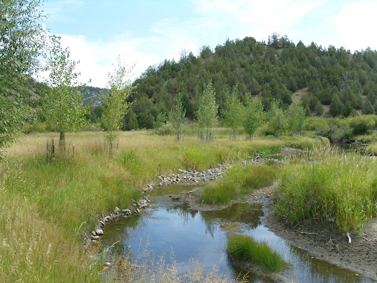 Restoration Examples