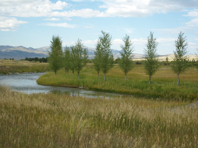 Restoration Examples