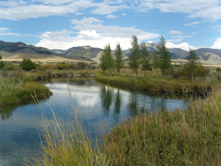 Restoration Examples