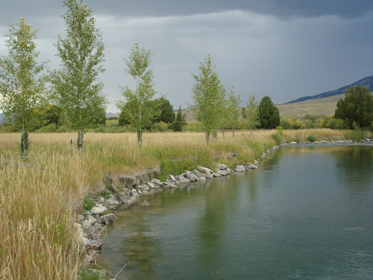 Restoration Examples