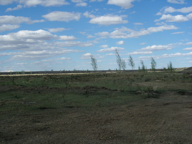 Restoration Examples