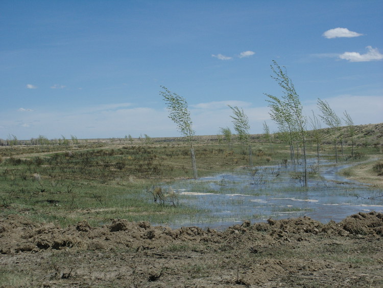 Restoration Examples