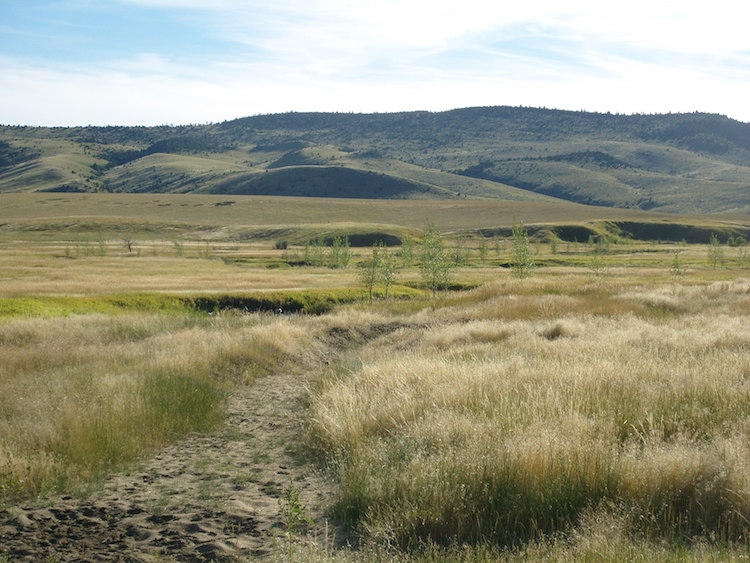 Restoration Examples