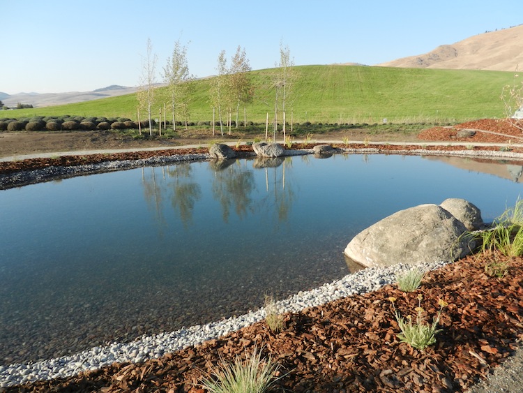 Nature's Enhancement, Inc. > Landscaping > Project Examples > Water ...