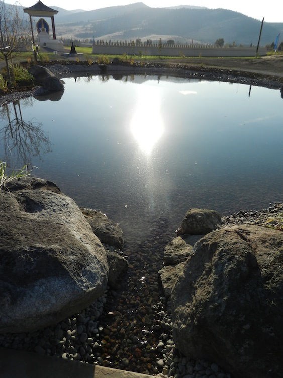 Nature's Enhancement, Inc. > Landscaping > Project Examples > Water ...